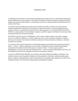 COLORACION GRAM.docx en enfermeria y salud en | DOCX