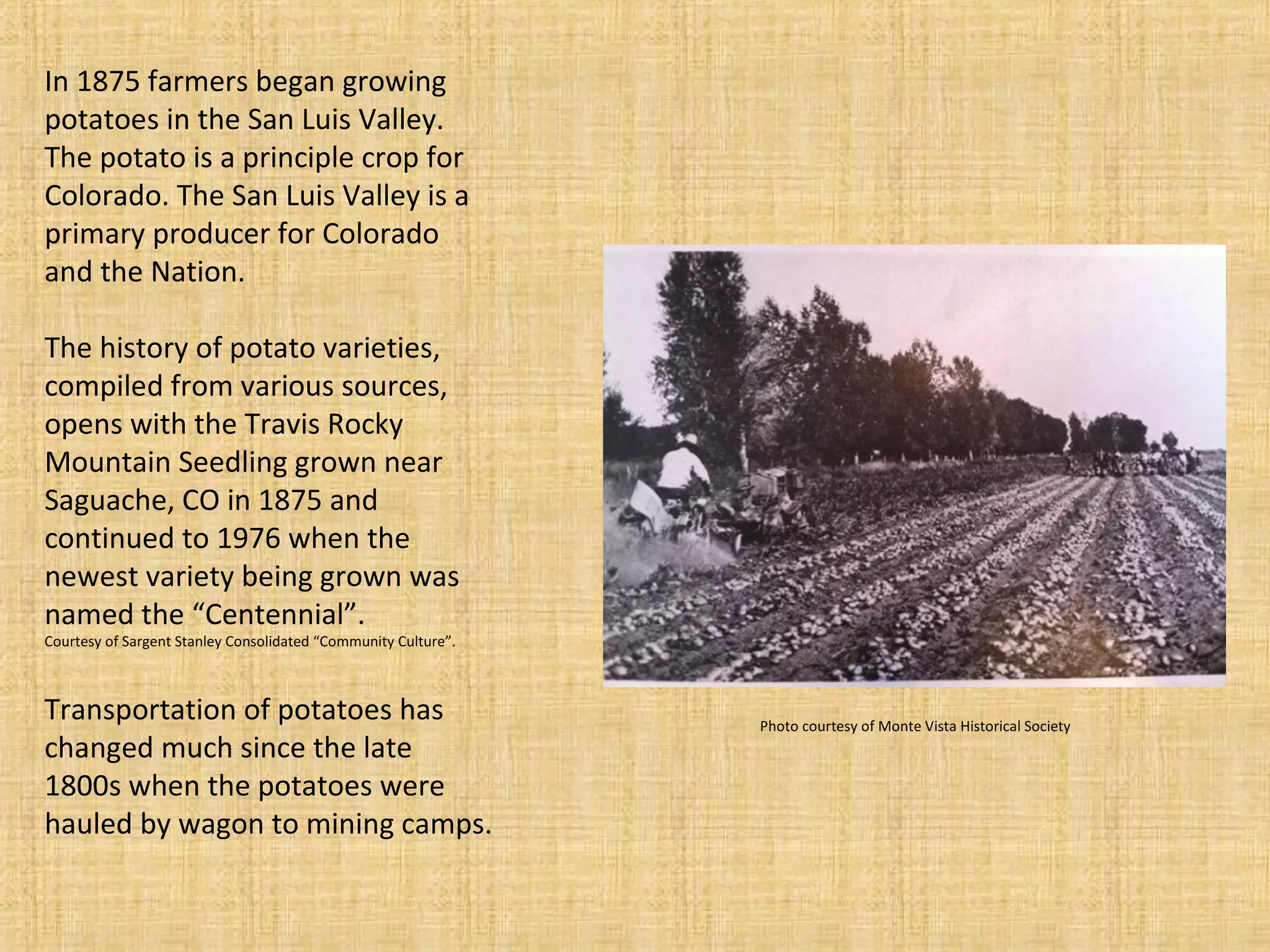 Colorado Potato History Board | PPT