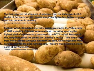 Colorado Potato History Board | PPT