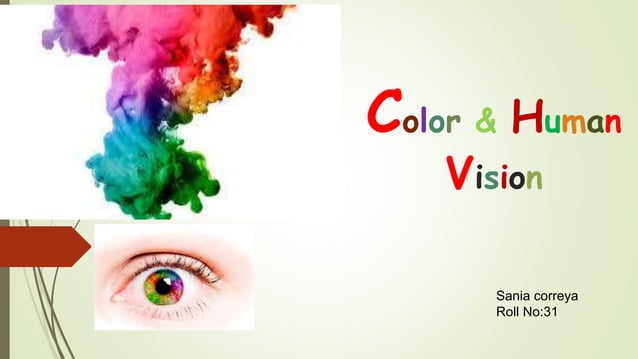 Color and human vision | PPT