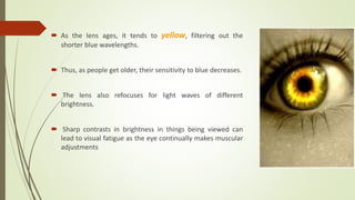 Color and human vision | PPTX | Eye and Vision Conditions | Diseases ...