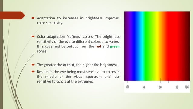 Color and human vision | PPT
