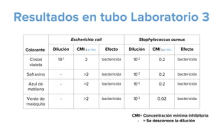 Efecto de los colorantes sobre el crecimiento de los microorganismos | PPTX