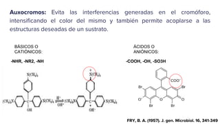 Efecto de los colorantes sobre el crecimiento de los microorganismos | PPTX