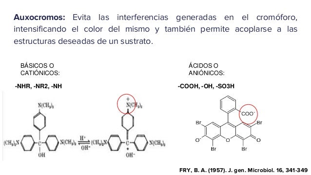 Efecto de los colorantes sobre el crecimiento de los microorganismos