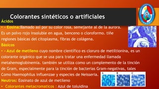 colorantes Diapositivas.pptx