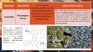 Colorantes naturales, concepto, historia, clasificaión y usos | PDF
