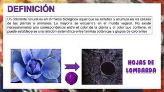 Colorantes naturales, concepto, historia, clasificaión y usos | PDF