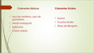 Colorantes y coloraciones 1 | PPT