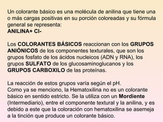 Colorantes y coloraciones en microbiologia.ppt