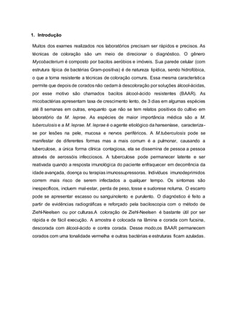 Coloração de ziehl neelsen | DOCX