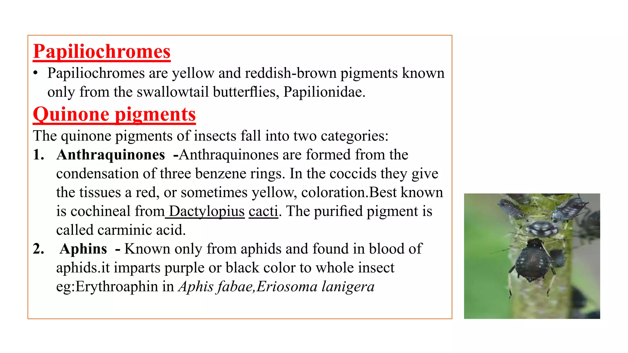 Insect coloration and Integumentary structures | PPTX