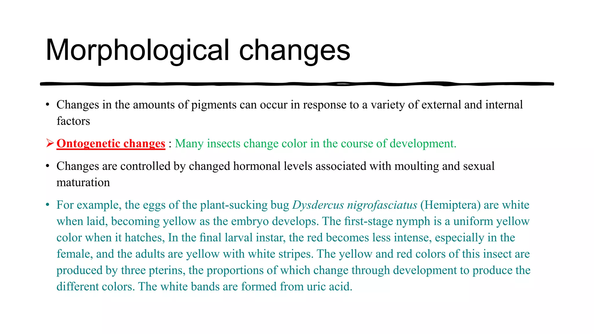 Insect coloration and Integumentary structures | PPTX
