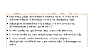 Insect coloration and Integumentary structures | PPTX