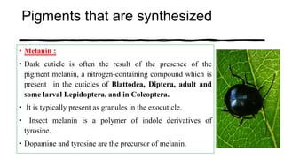 Insect coloration and Integumentary structures | PPTX