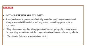 Insect coloration and Integumentary structures | PPTX