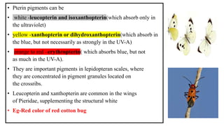 Insect coloration and Integumentary structures | PPTX