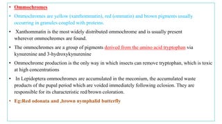 Insect coloration and Integumentary structures | PPTX