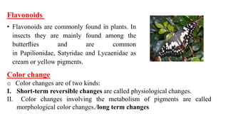 Insect coloration and Integumentary structures | PPTX