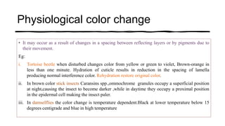Insect coloration and Integumentary structures | PPTX