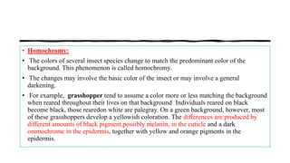 Insect coloration and Integumentary structures | PPTX