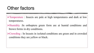 Insect coloration and Integumentary structures | PPTX
