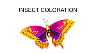 Insect coloration and Integumentary structures | PPTX