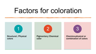 Insect coloration and Integumentary structures | PPTX
