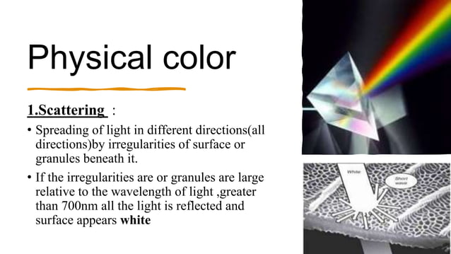 Insect coloration and Integumentary structures | PPTX | Chemistry | Science