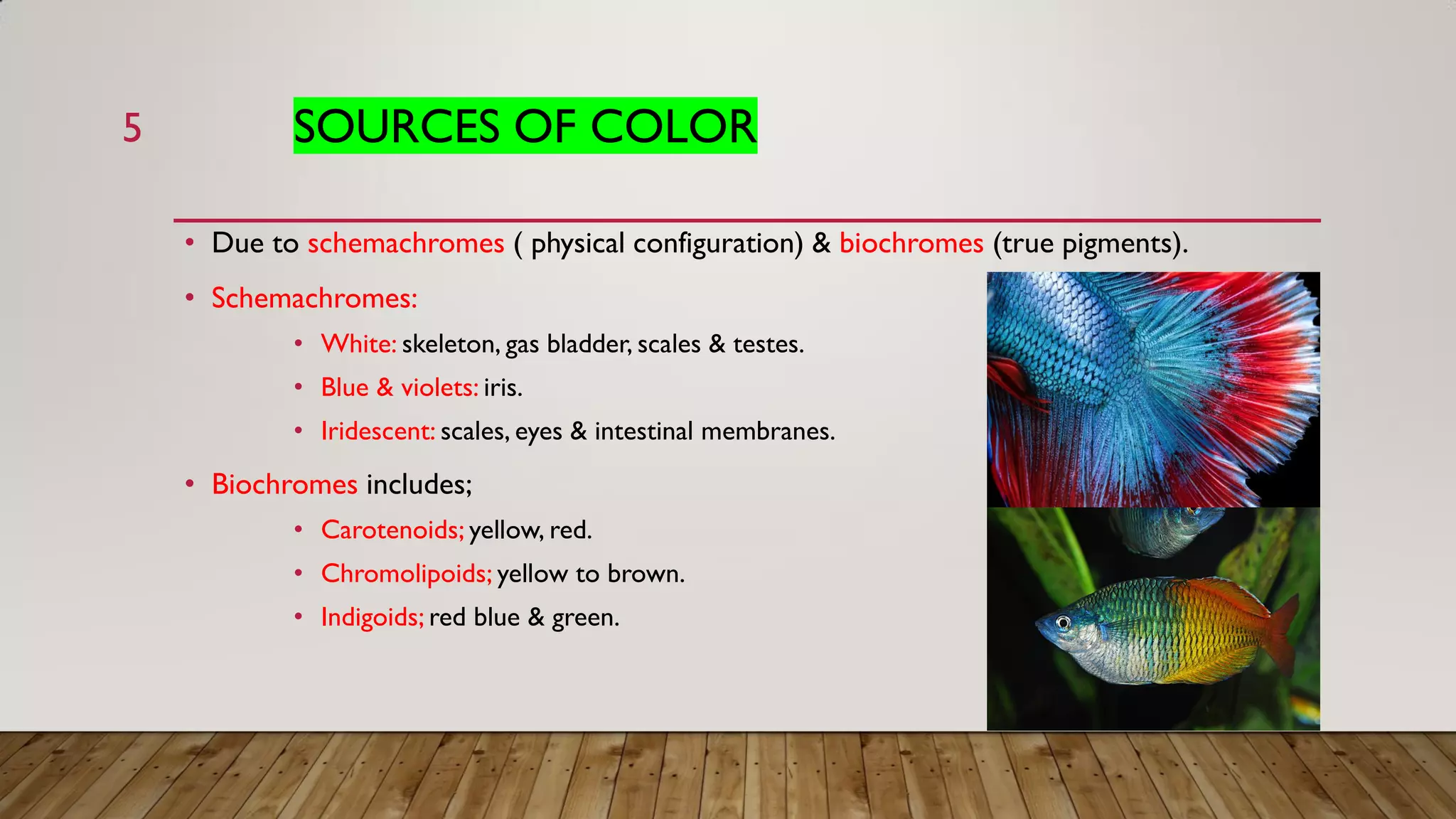 Coloration in fishes | PDF