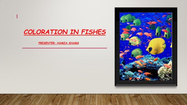 Coloration in fishes | PDF