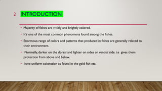 Coloration in fishes | PDF