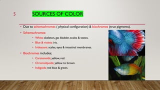 Coloration in fishes | PDF