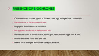 Coloration in fishes | PDF