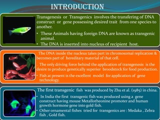 Coloration in Fishes ppt aqc full detail .pdf