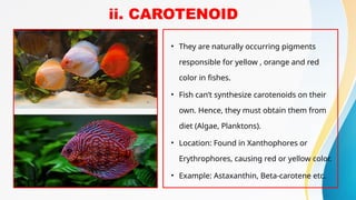 Coloration in fishes: Sources and Significace By Mohd Aqib , Masters ...