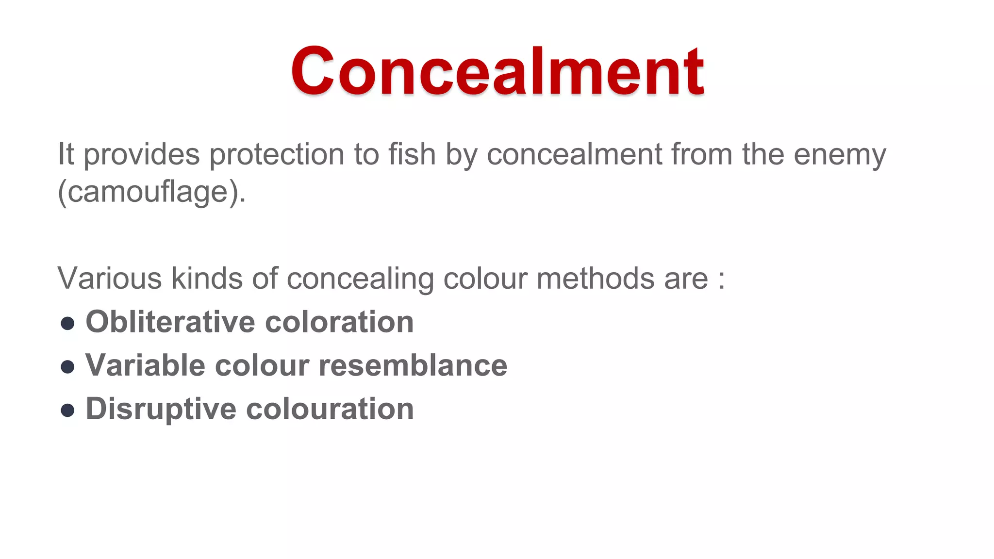Coloration in Fishes | PPTX