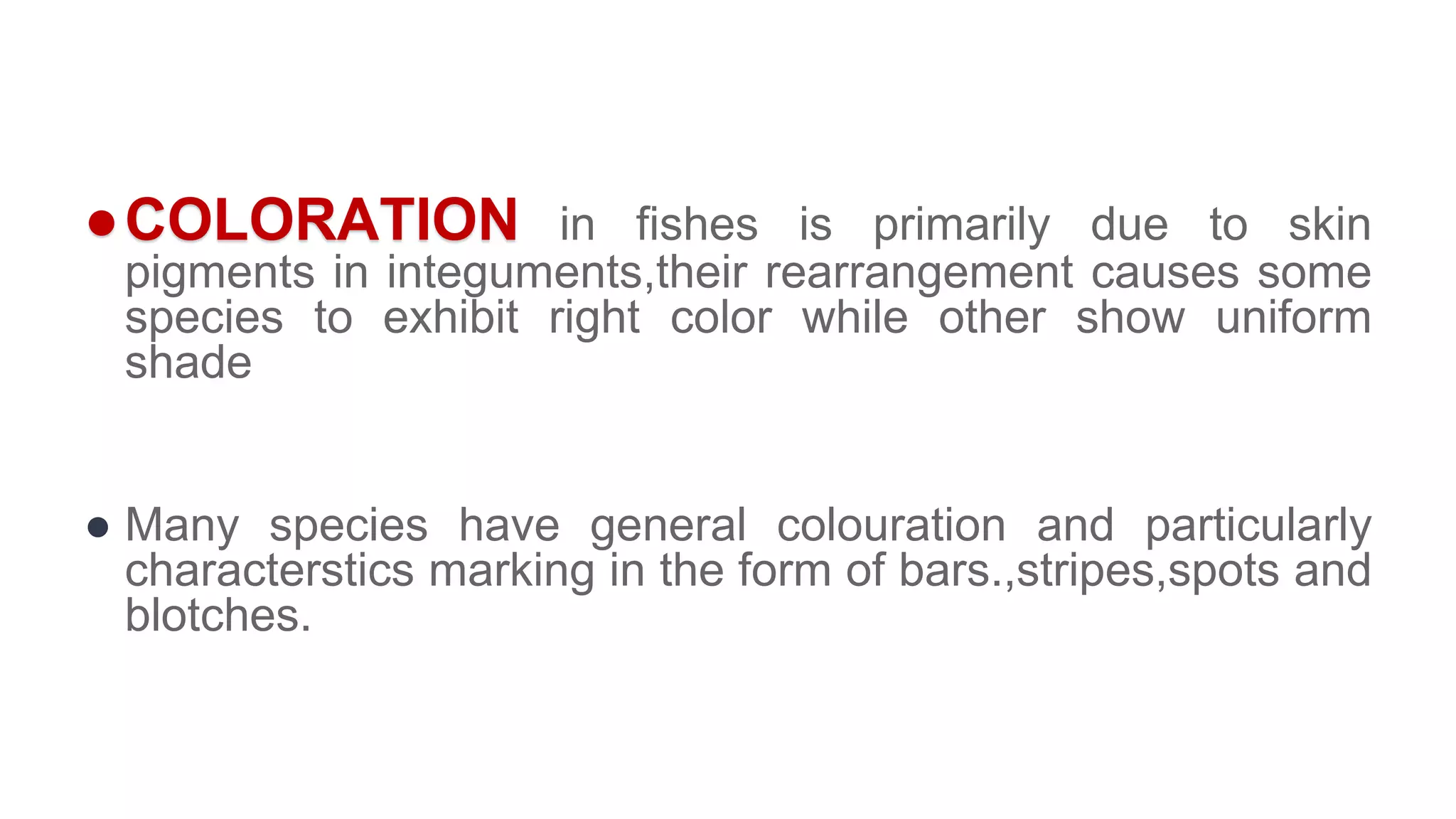 Coloration in Fishes | PPTX