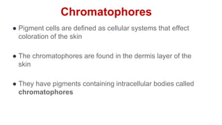 Coloration in Fishes | PPTX