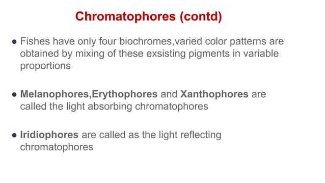 Coloration in Fishes | PPTX