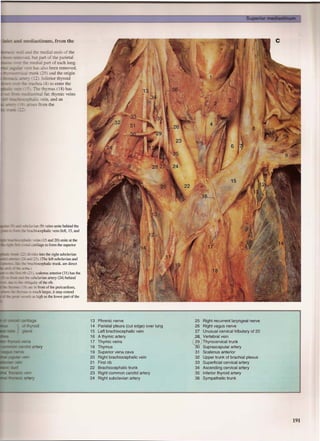 Color atlas of anatomy mc.minn
