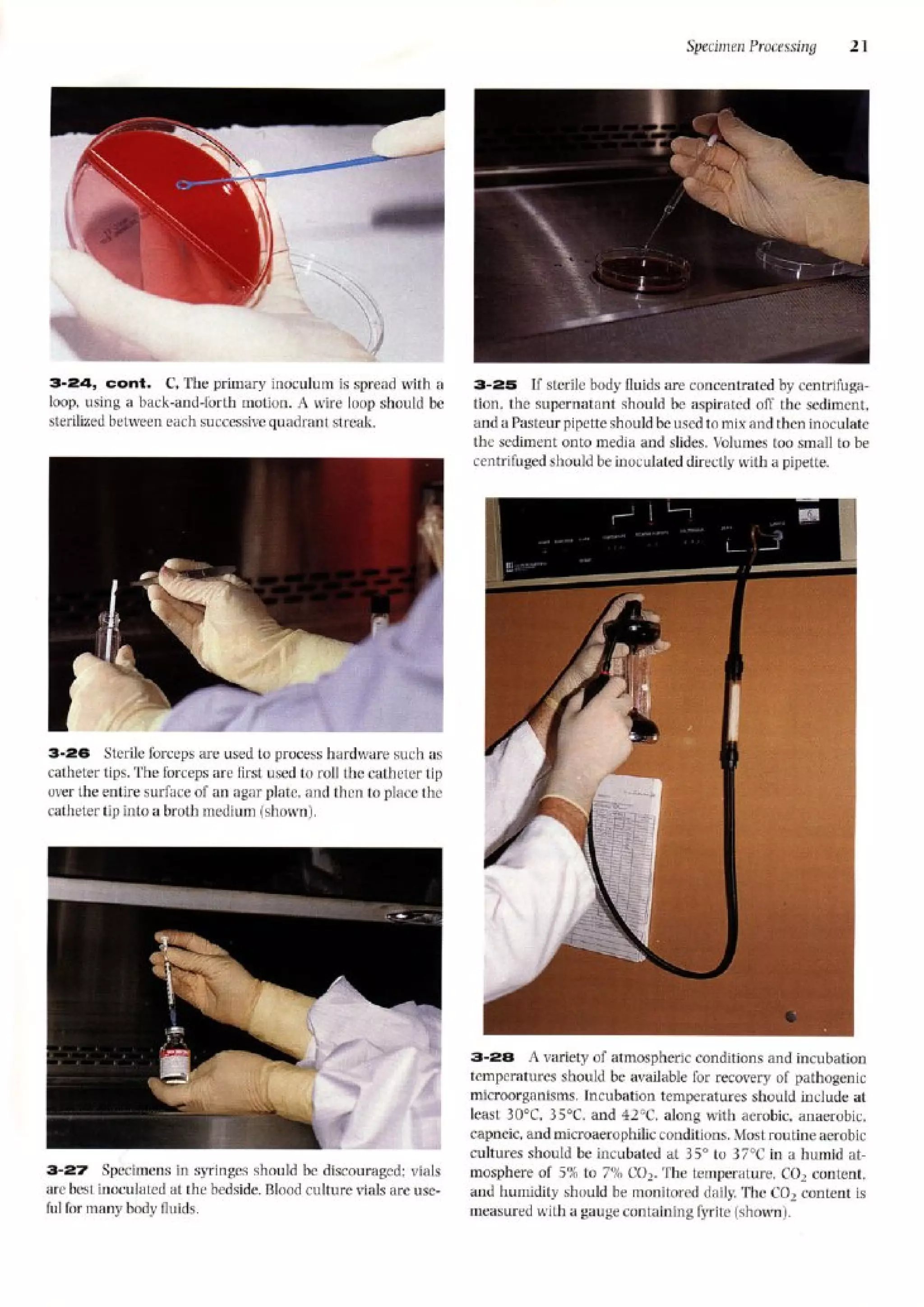 Color atlas of diagnostic microbiology | PDF