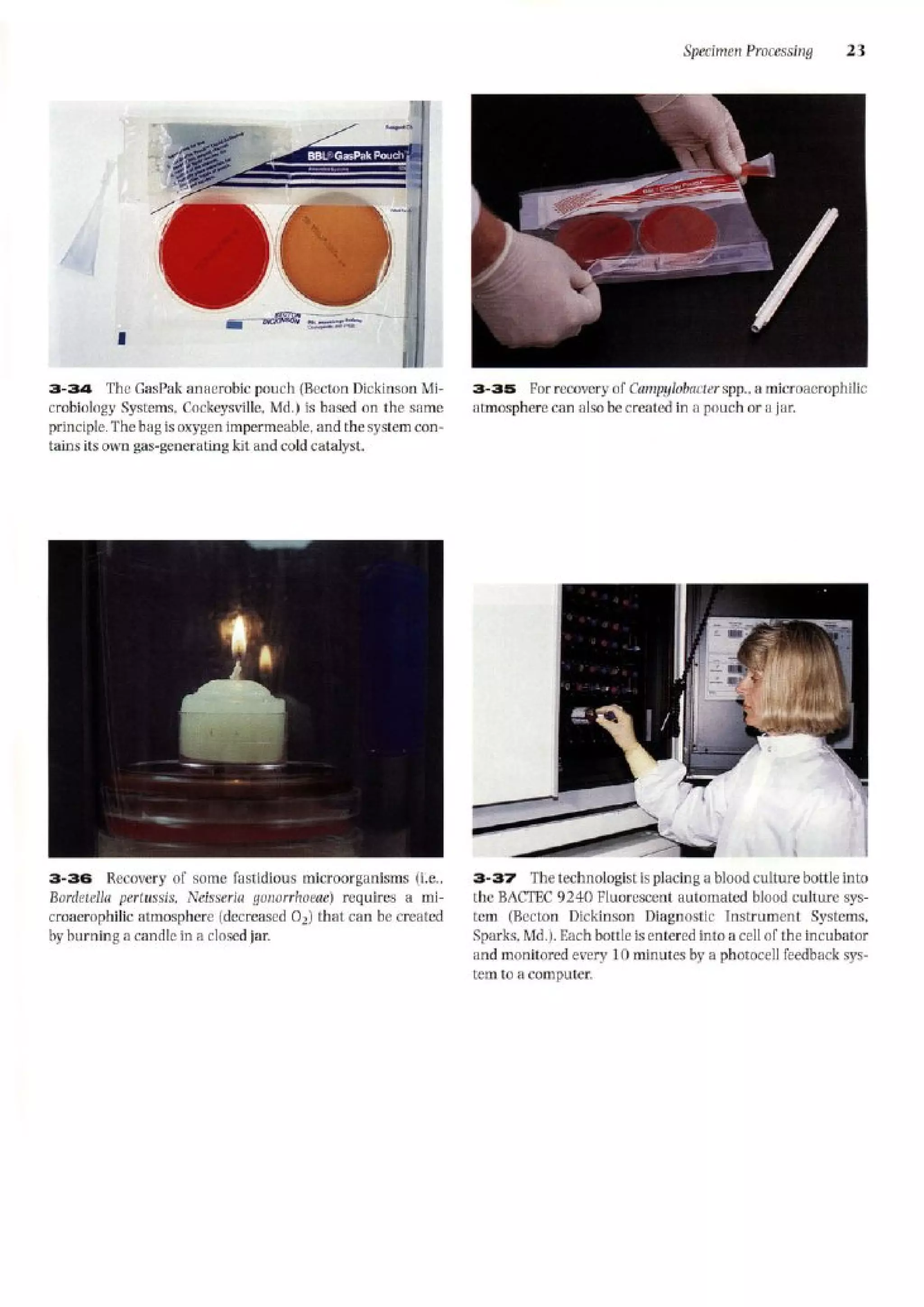 Color atlas of diagnostic microbiology | PDF