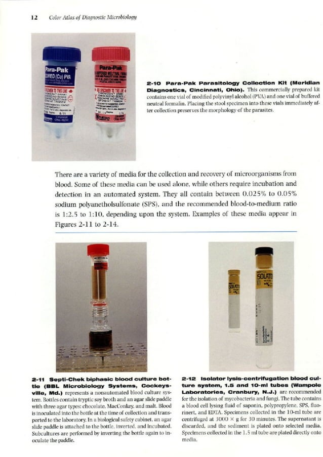 Color atlas of diagnostic microbiology | PDF