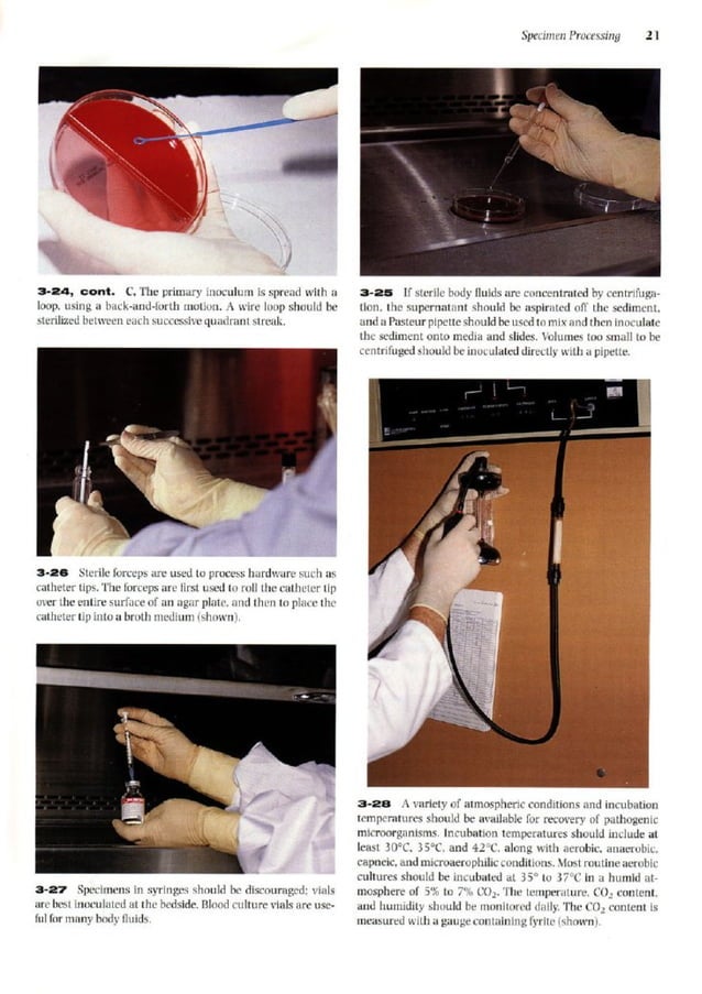 Color atlas of diagnostic microbiology | PDF