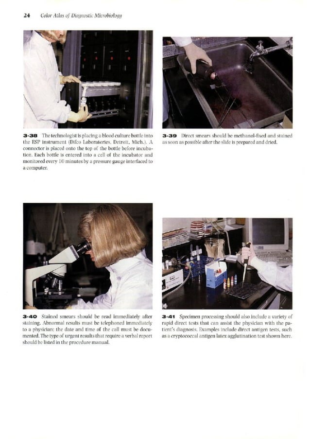 Color atlas of diagnostic microbiology | PDF