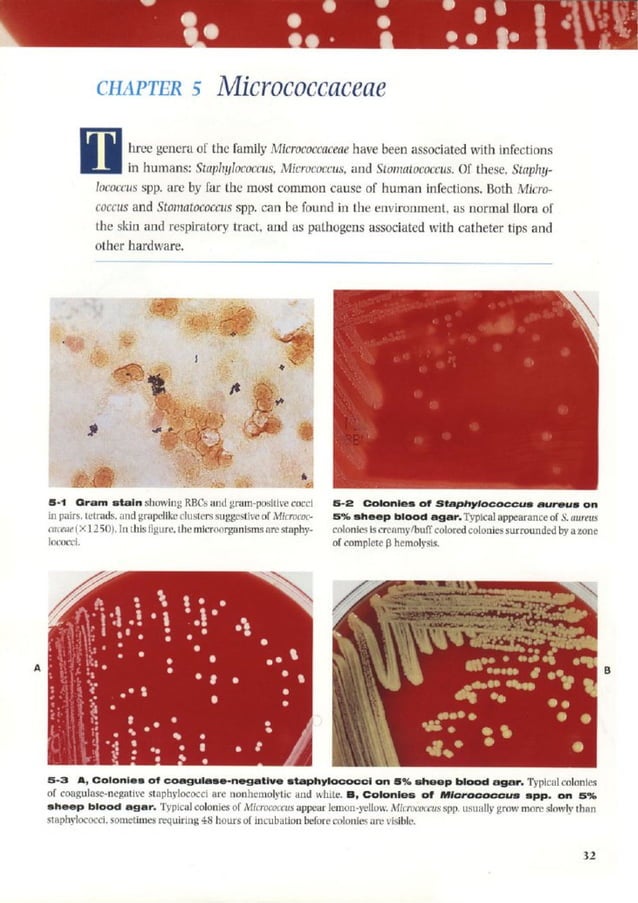 Color atlas of diagnostic microbiology | PDF