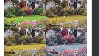 Color blind | PPTX