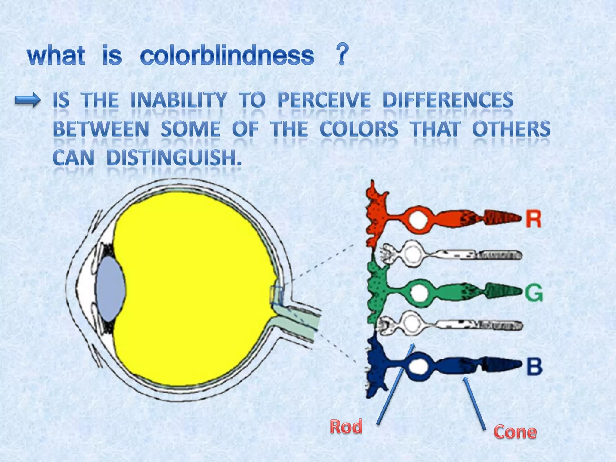 Color blindness | PDF