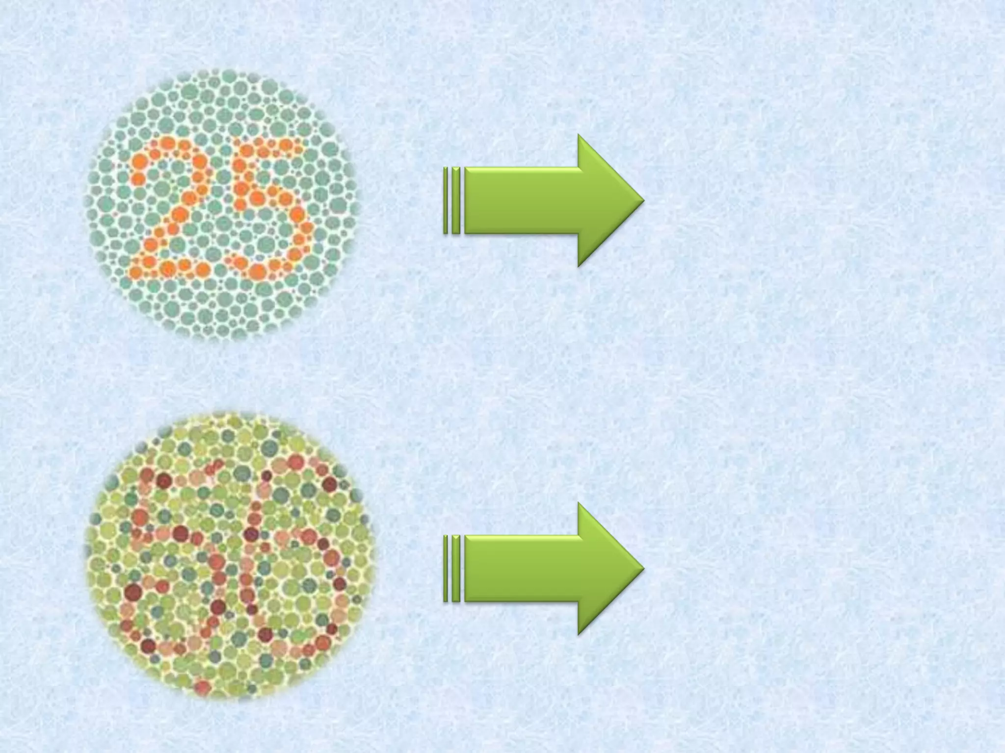 Color blindness | PDF